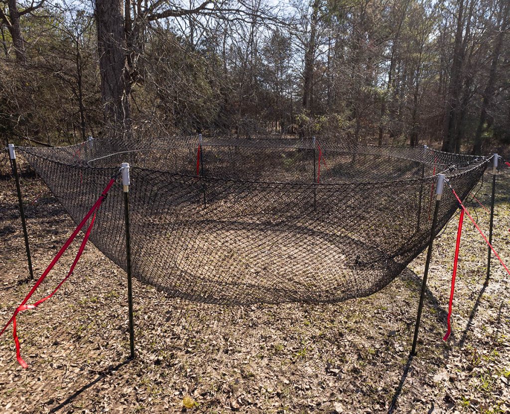 - Australian Trapping Systems | Feral Animal Traps & Equipment